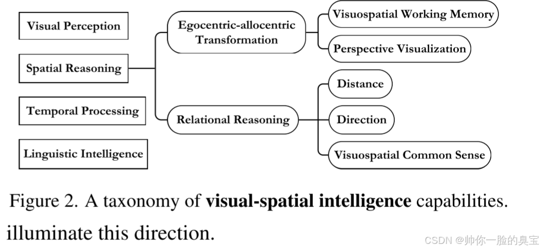 Thinking in Space: How Multimodal Large Language Models See, Remember ...