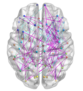 BrainNet Viewer绘图教程——脑研究可视化一站式解决-CSDN博客
