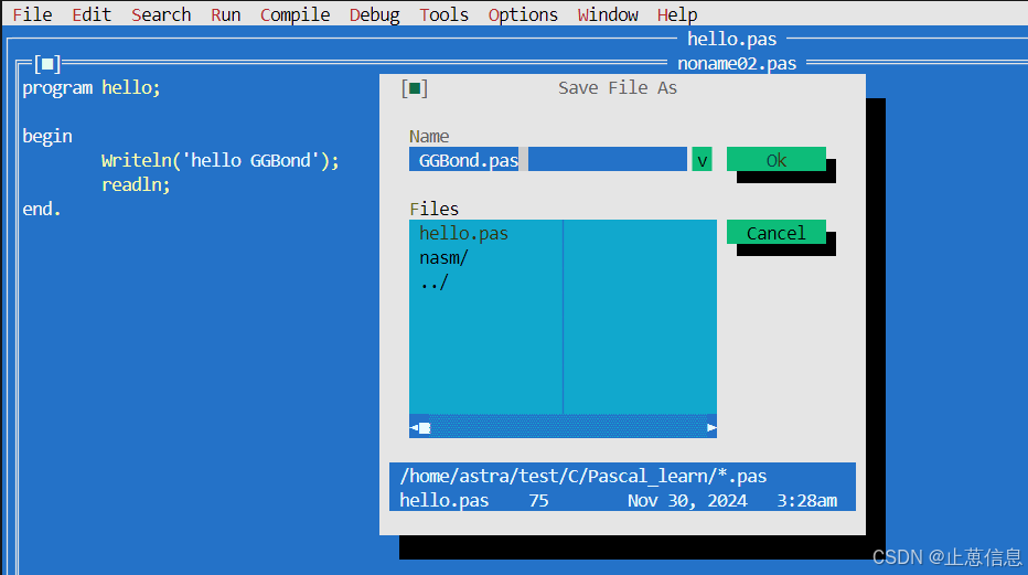 一起学Pascal:如何安装Pascal语言_pascal安装软件-CSDN博客