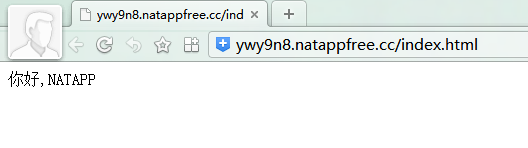 1分钟快速上手 NATAPP 内网穿透教程！-CSDN博客