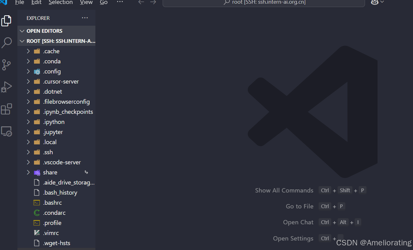 书生大模型实战营第4期-L0-Linux-CSDN博客