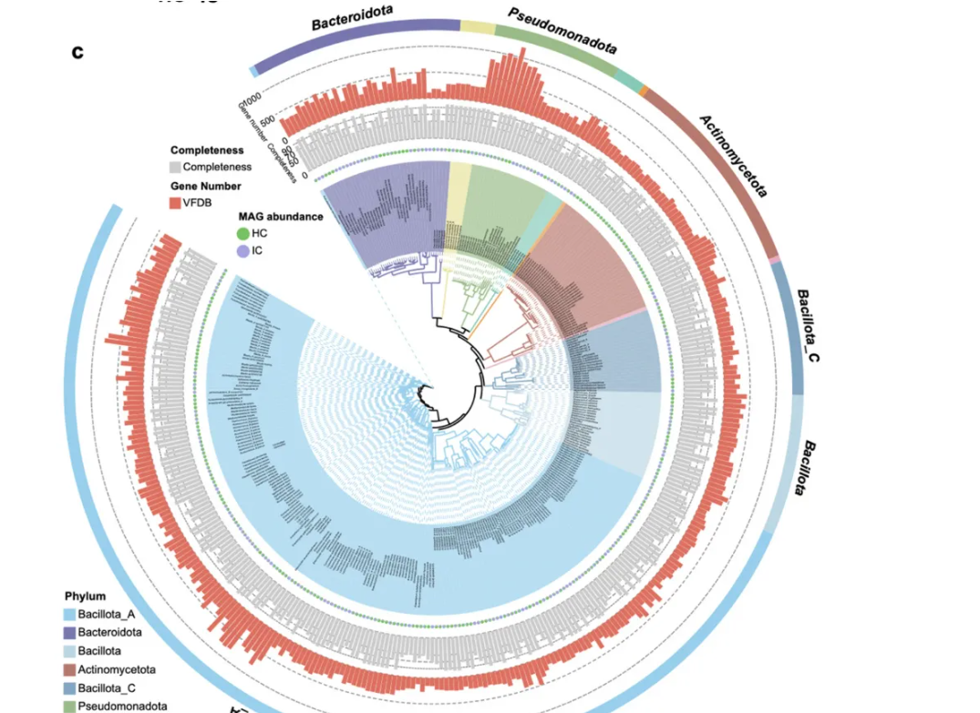 R绘图|复现“中科院黄乾生团队”Microbiome高颜值环形树状图——手搓代码的快乐（基于Y叔ggtreeextra）-CSDN博客