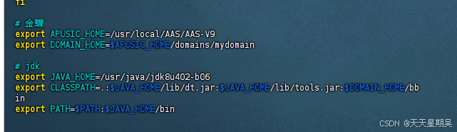 Linux 搭建金蝶中间件AAS-V9 保姆级_金蝶apusic中间件部署-CSDN博客