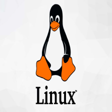 【Linux命令大全】001.文件管理之chattr命令（实操篇）-CSDN博客