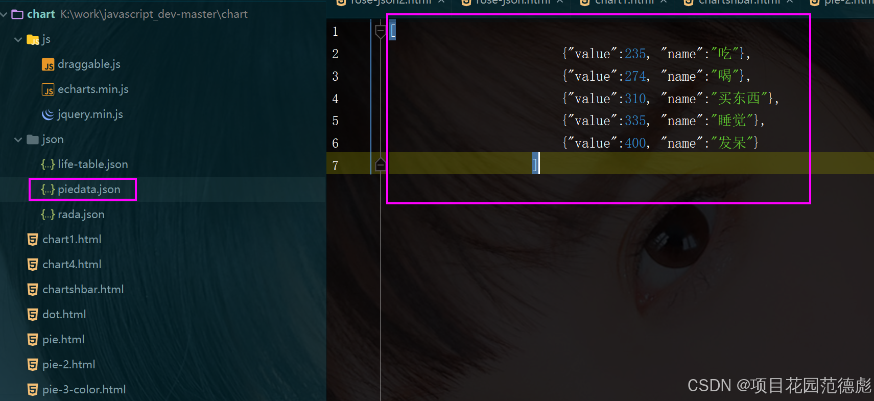 【web前端实战】echarts常见饼图图表，饼图，环形图（轮胎图），玫瑰图实现【附学习教程】前端饼图 Csdn博客