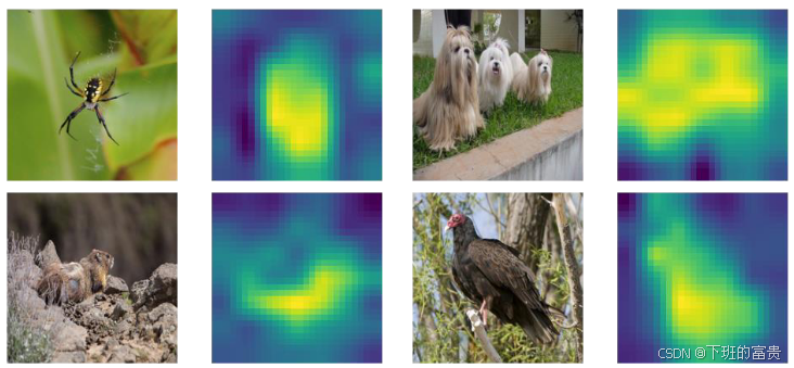 Focal Modulation Networks-焦点调制网络_focalnet-CSDN博客