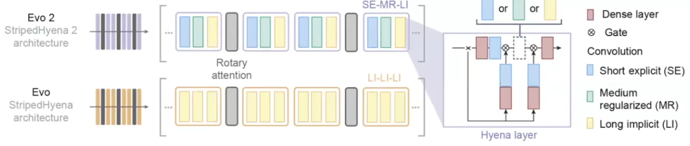 Evo2 论文讲解_基因 模型 evo2-CSDN博客
