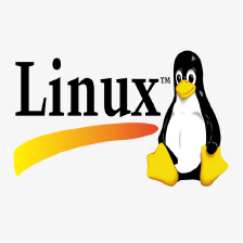 5. Linux软件包管理：从APT到Snap，全面解读Linux的包管理工具_apt snap-CSDN博客