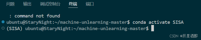 机器遗忘经典方法样例实践——SISA_machine unlearning 实战代码-CSDN博客