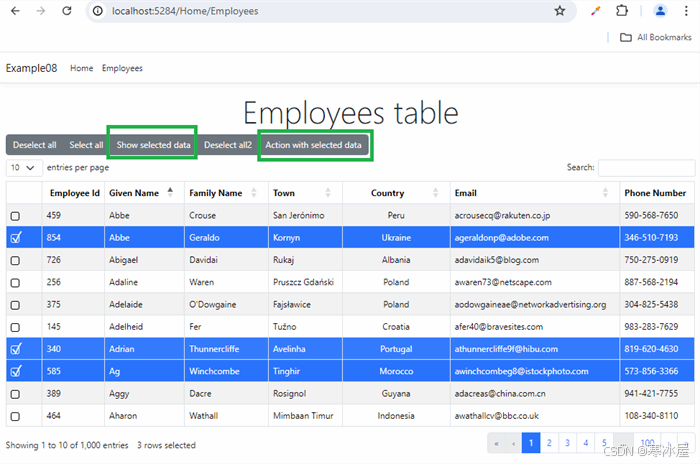 使用DataTables.net的ASP.NET8——第8部分——选择行-CSDN博客