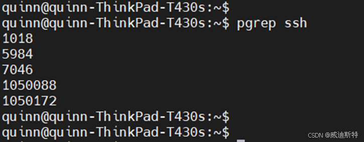 linux命令：用于根据名称或其他属性查找并列出符合特定条件的进程 ID (PID) 的命令pgrep详解_pgrep pid-CSDN博客