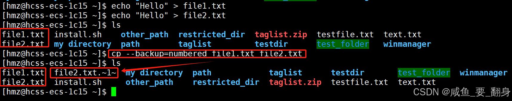 Linux基本命令篇 —— cp命令_linux cp-CSDN博客