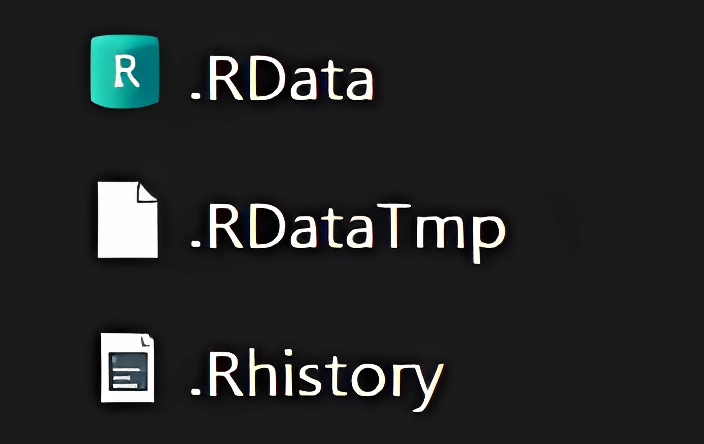 【R语言】一文搞懂 `.RData`、`.Rhistory`、`.RDataTmp` 是什么？——R语言工作空间文件详解_rdata保存的是 ...