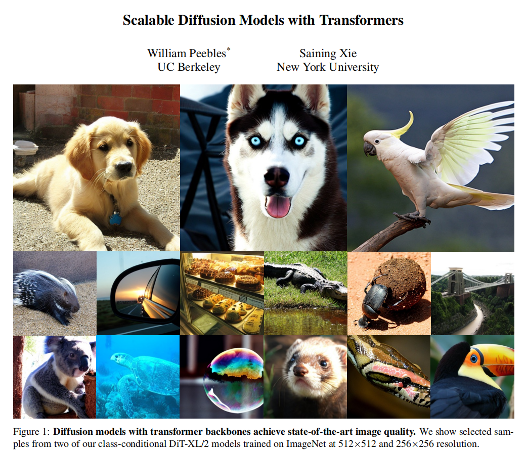 Scalable Diffusion Models with Transformers（DIT）_scalable transformer for pde suvrogate-CSDN博客
