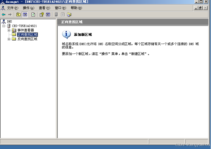 Windows server 2003 Dns（域名解析服务器）搭建过程_server2003配置dns-CSDN博客
