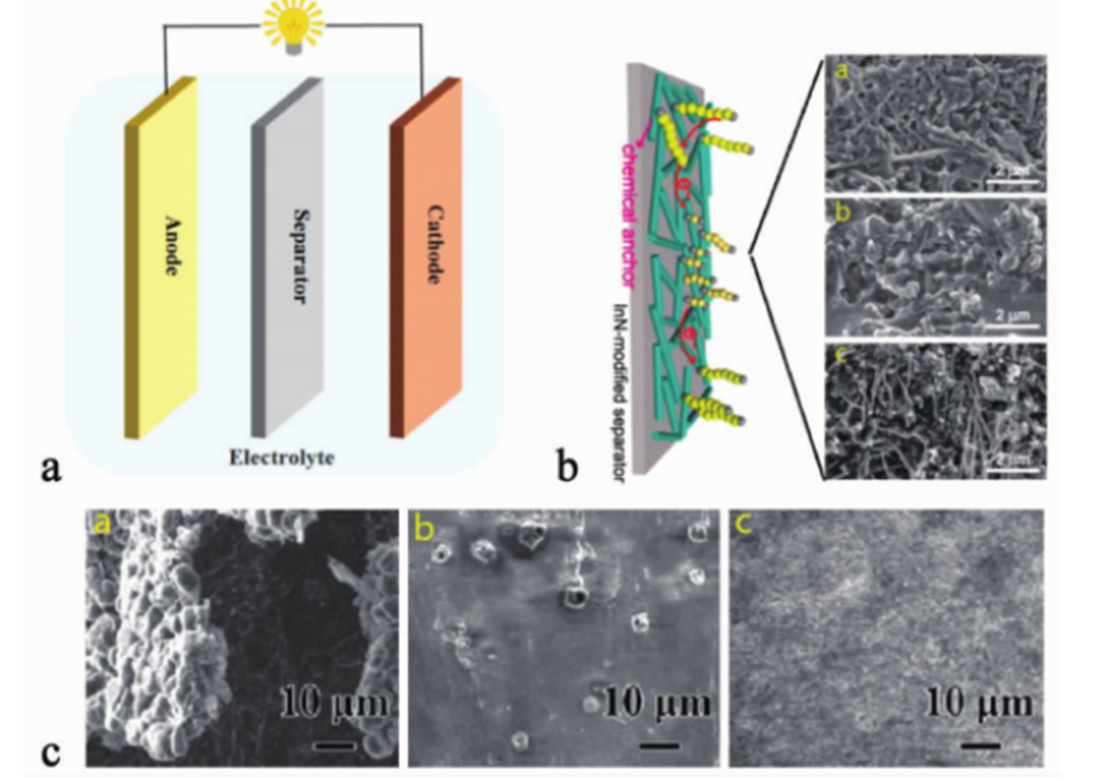 原位SEM测试样品制备和前处理步骤盘点-测试GO_sem样品前处理-CSDN博客