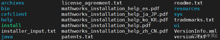 Linux无图形化界面安装matlab(离线)保姆级_linux安装matlab-CSDN博客