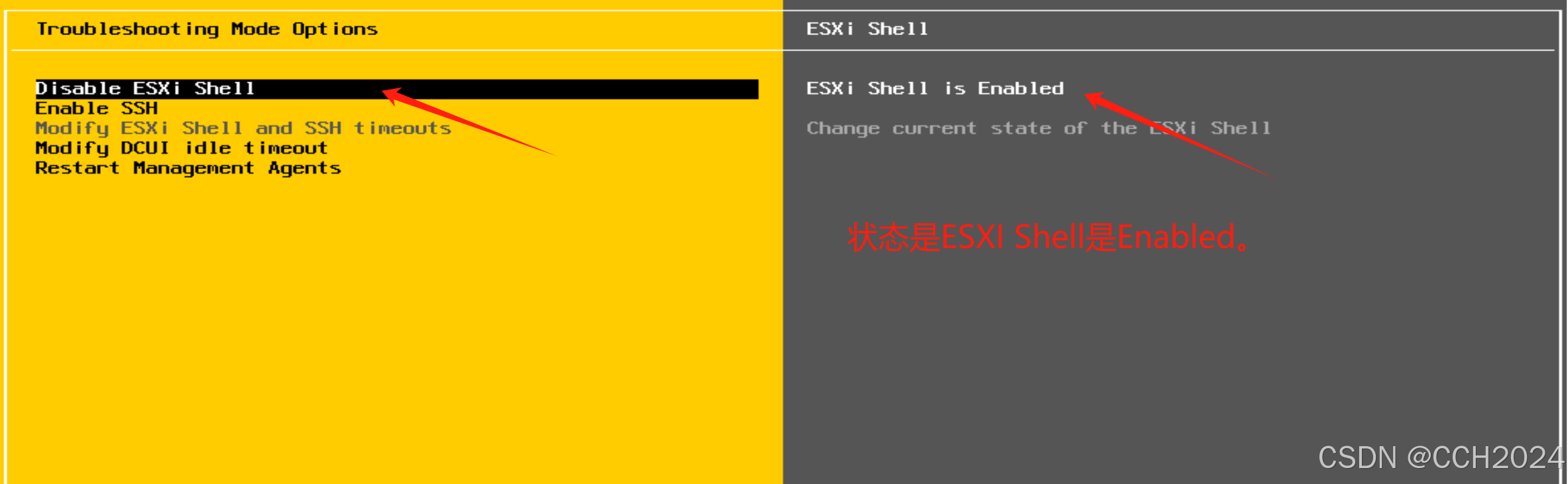 云平台运维管理笔记3—开启ESXI的Shell和SSH功能_esxi开启ssh-CSDN博客