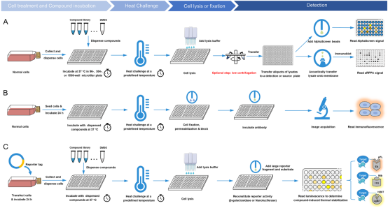 TPP及CETSA助力天然产物的研发及研究-CSDN博客