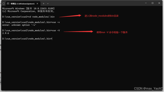 vue2和vue3共存在一个系统，并分别创建对应项目，使用vue-cli 5.0.8版本创建vue2项目_电脑同时安装vue2和vue3-CSDN博客