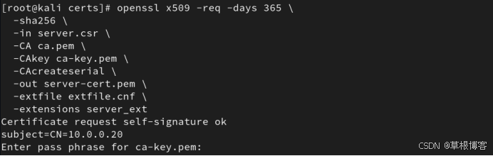 docker的TLS加密传输_docker tls-CSDN博客