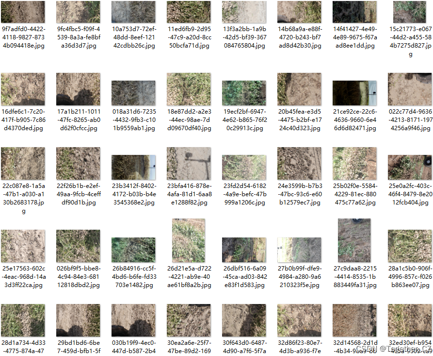 助力花生作物智能化采摘，基于YOLOv7全系列【tiny/l/x】参数模型开发构建花生种植采摘场景下花生果实智能检测计数系统-CSDN博客