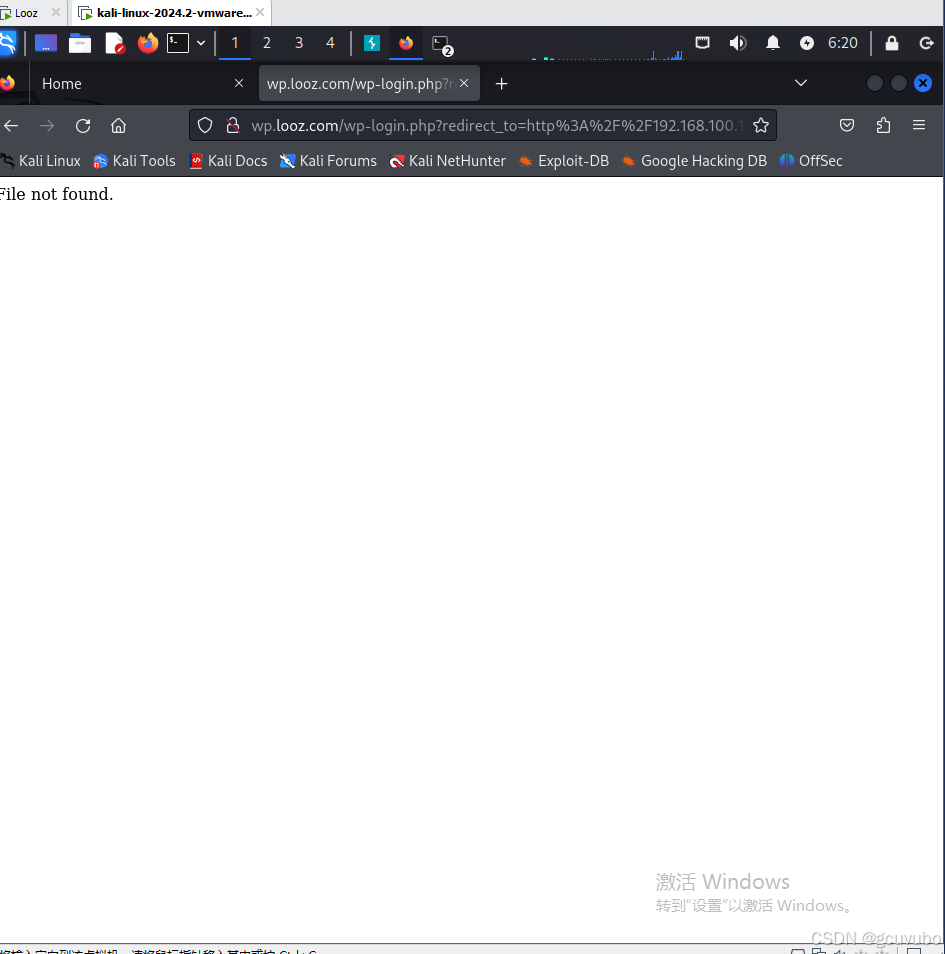 靶机渗透练习67-Looz_general purpose|storage-misc|wap-CSDN博客