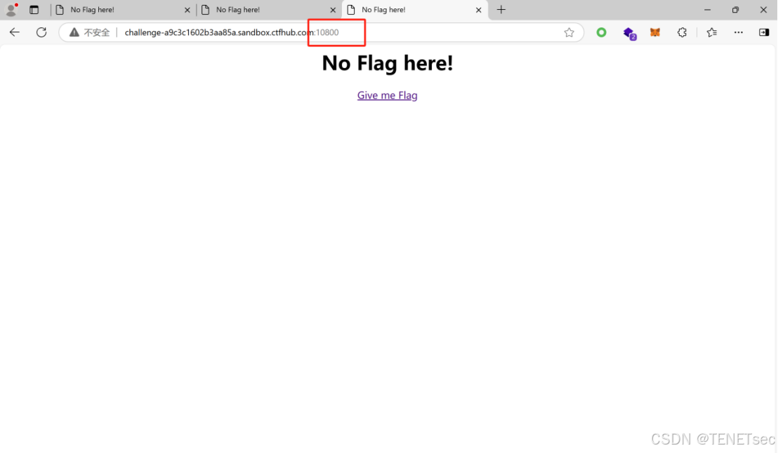 CTFHUB HTTP协议 - 302跳转_ctfhub302跳转-CSDN博客