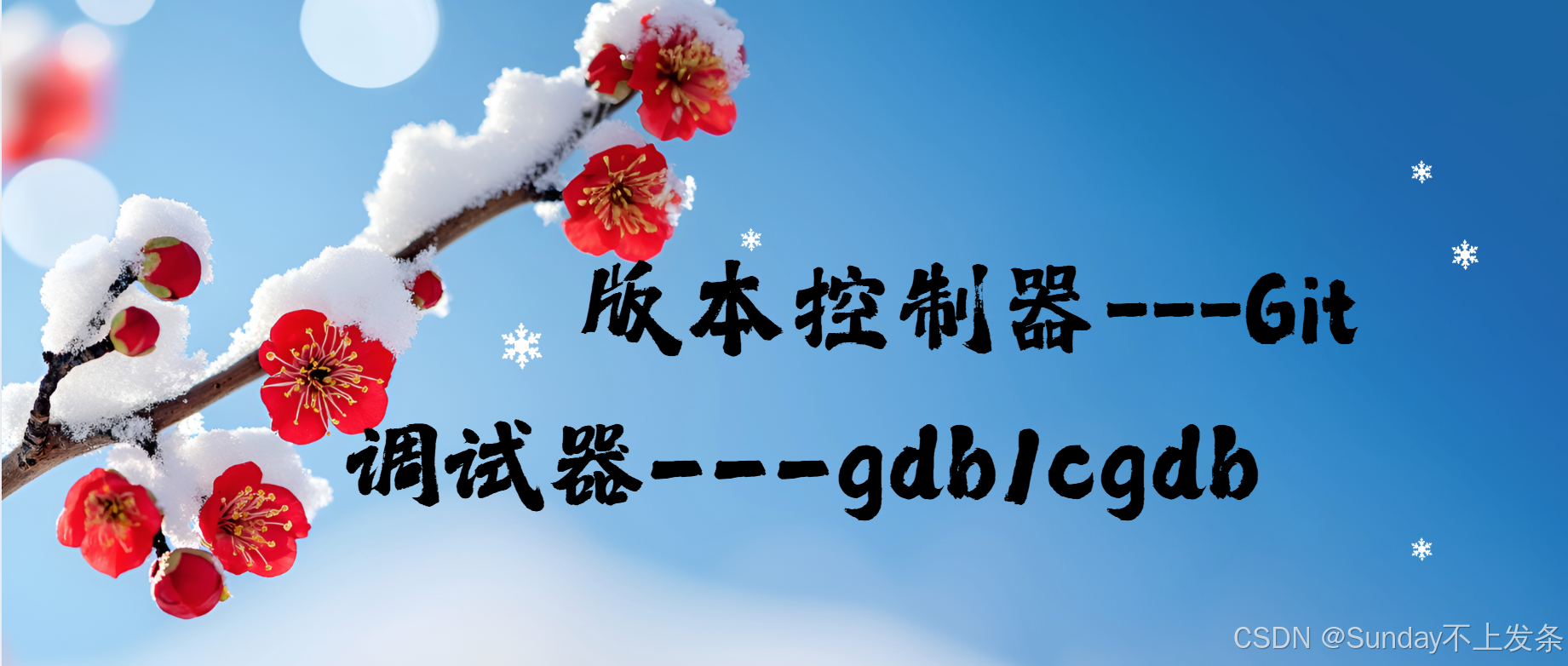 Linux实用工具：版本控制器Git和调试器 gdb/cgdb使用-CSDN博客