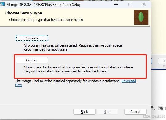 MongoDB 8.0.3安装教程_mongodb8安装-CSDN博客