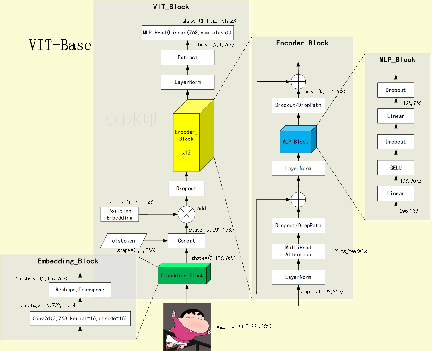 逐行剖析Vit模型代码_vit源代码-CSDN博客