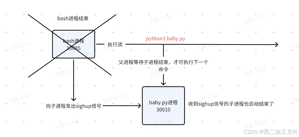 shell编程基础（利用nohup与&，在后台持续运行进程）_shell 中&后台运行-CSDN博客