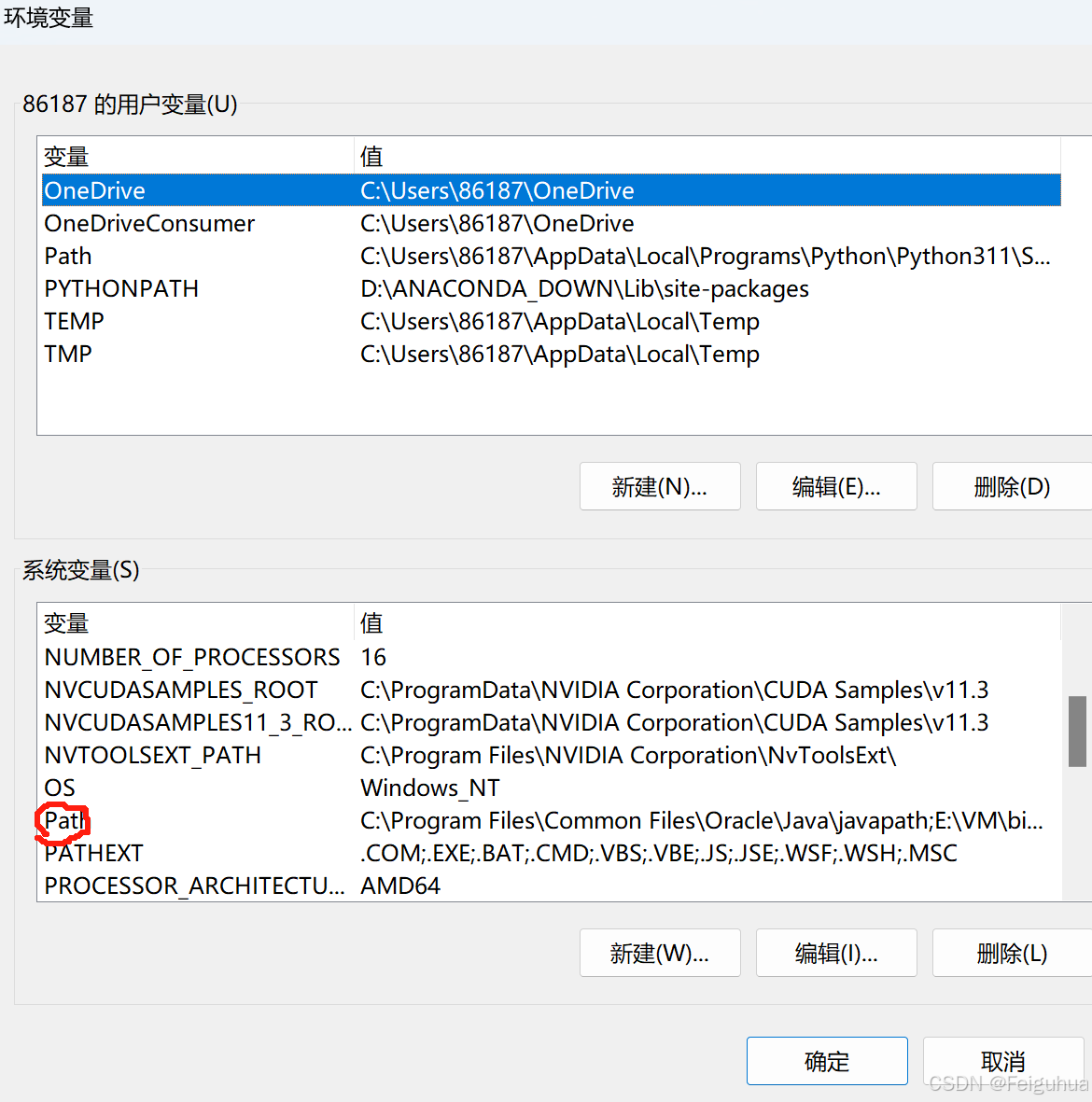 通过Yolov5使用ip摄像头实时监测（CPU）_yolov5实时监测-CSDN博客