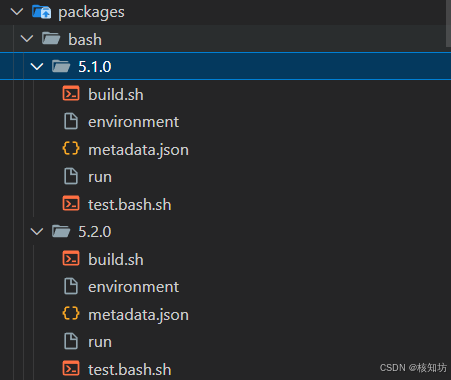 Piston代码执行项目部署_piston tmp-CSDN博客