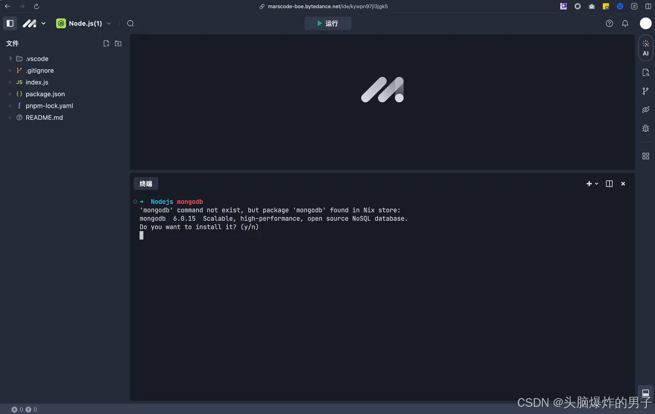 云端AI IDE平台:MarsCode IDE-CSDN博客