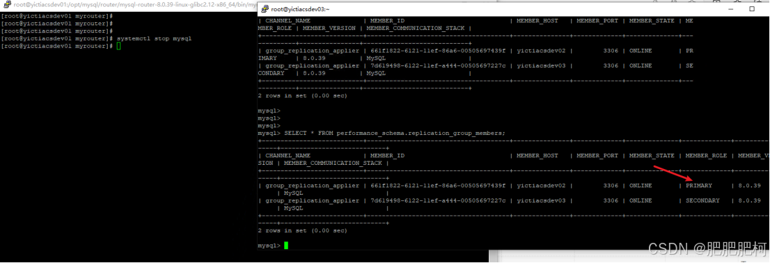 Mysql高可用之Innodb Cluster部署（离线部署、主从复制/多主同步）_mysql innodb cluster 部署-CSDN博客