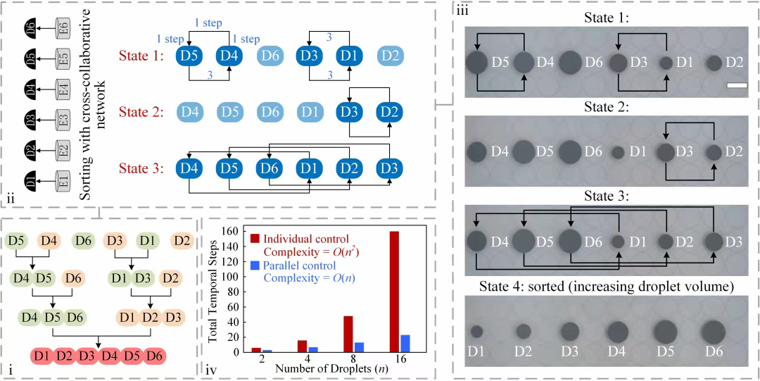 IEEE TRO 可编程平台实现磁流体液滴机器人微尺度 “群体智能” 突破-CSDN博客