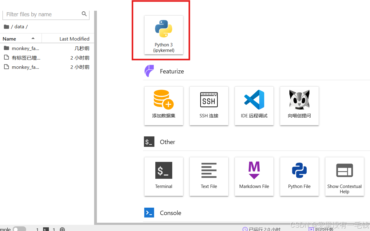 Featurize算力云使用流程（最细的保姆级教程）_GPU_想吃蛋炒饭了-九章云极普惠算力