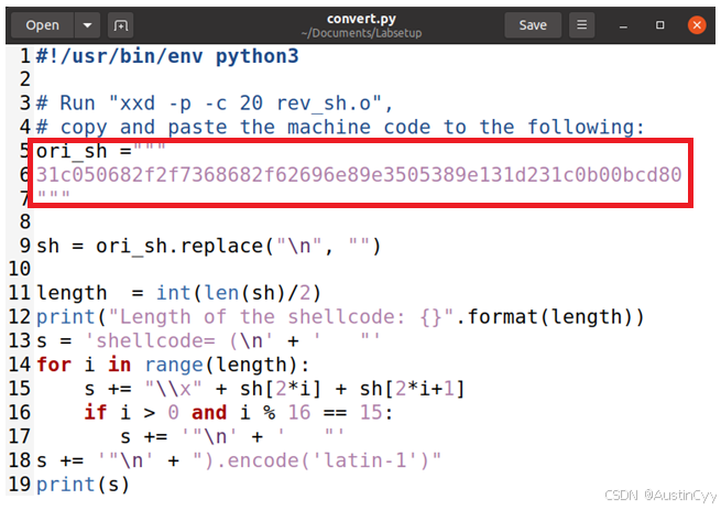 【Seed-Labs 2.0】Shellcode Development Lab-CSDN博客