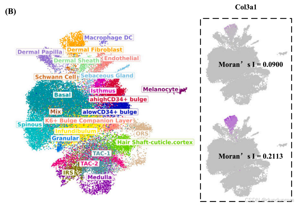 【论文阅读】实验分析：Integrating single-cell multi-omics data through self ...