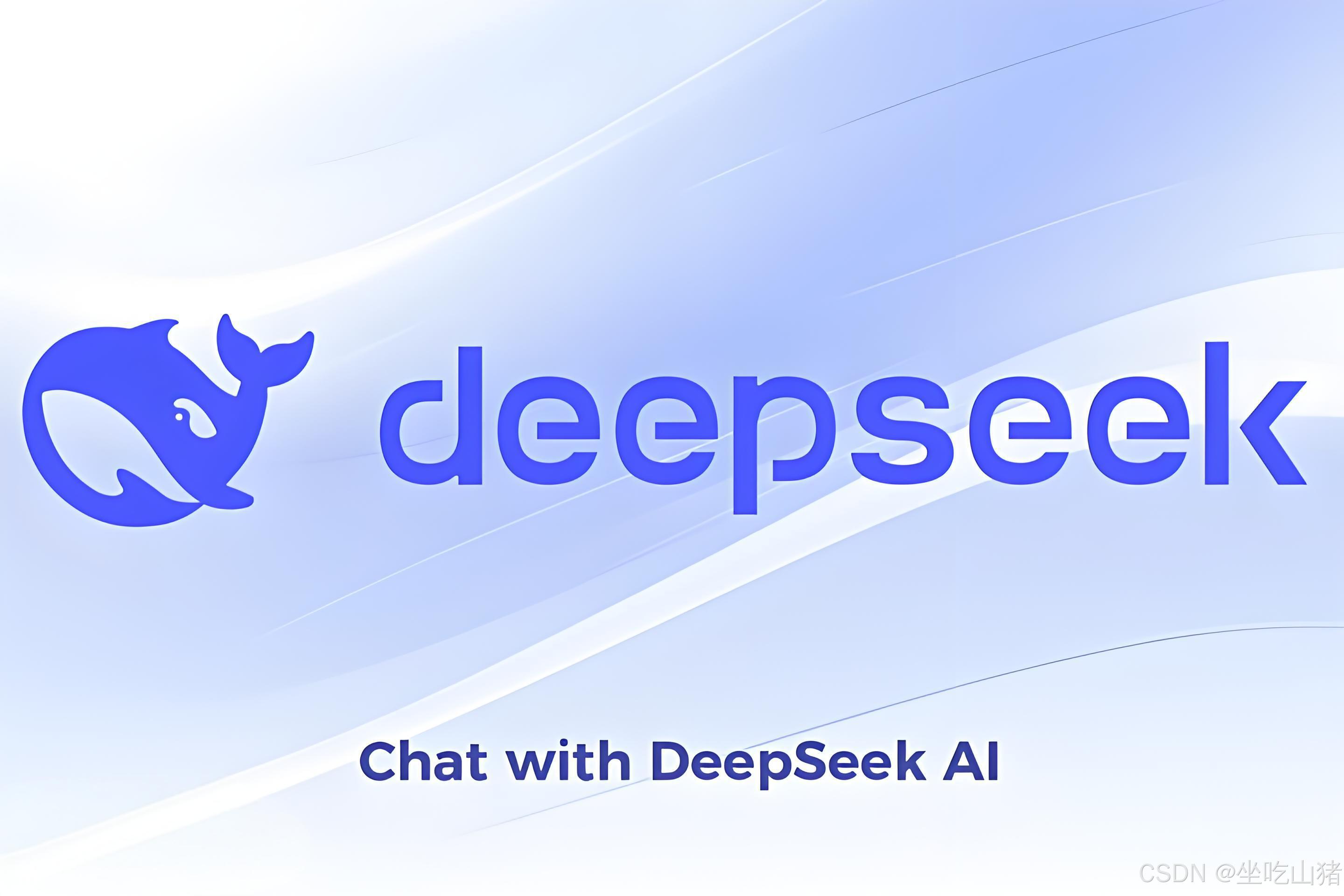 DeepSeek-FunctionCall_python_坐吃山猪-DeepSeek技术社区