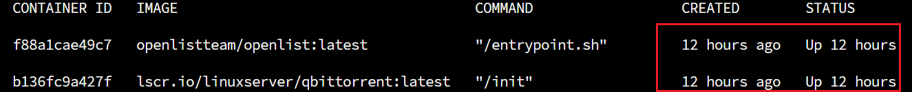 最强 OpenList 离线下载搭建攻略：整合 qBittorrent 的完美实践（含密码查看、Unauthorized 修复、BT 端口配置与常见错误排查）_openlist默认密码-CSDN博客