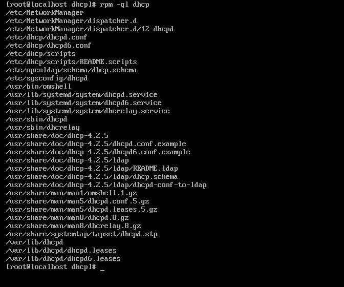 linux操作系统---DHCP服务管理实战案例_yum install -y dhcp-server-CSDN博客
