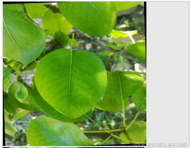 如何使用深度学习模型yolov8训练使用——梨树叶病虫害目标识别检测数据集 6000张 Yolo数据集 梨树叶病害数据集梨叶病害目标检测算法 Csdn博客