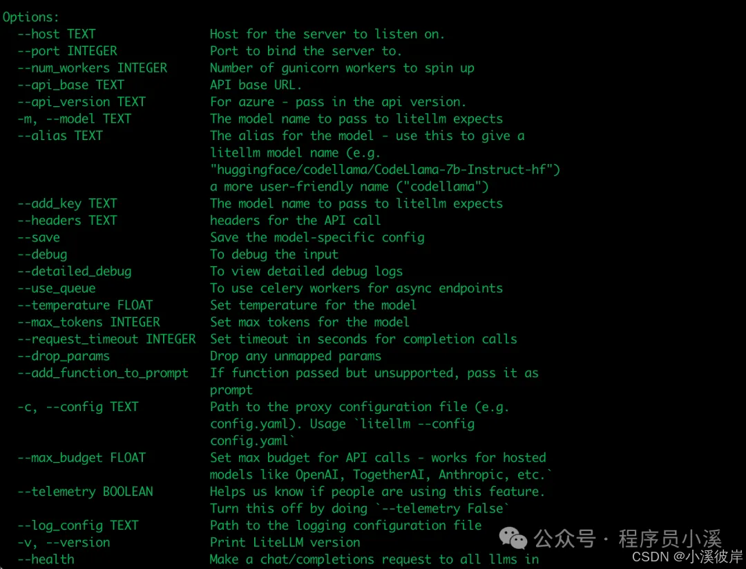 OpenAI API模拟利器Litellm-CSDN博客