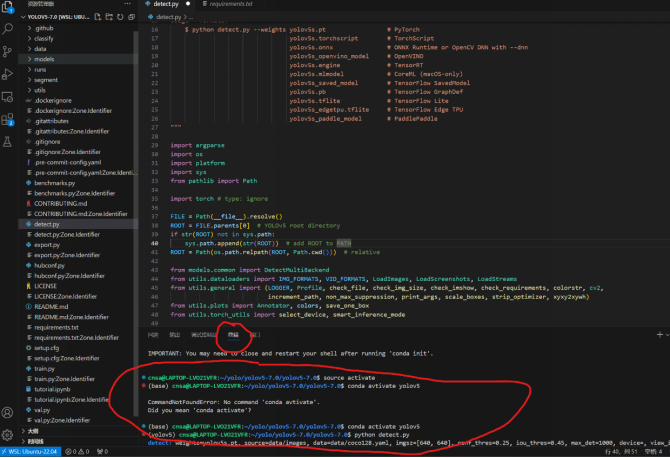 yolo系列之yolov5的训练测试之使用官方的进行训练_yolov5测试-CSDN博客