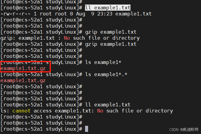 Linux压缩工具：gzip命令详解-CSDN博客