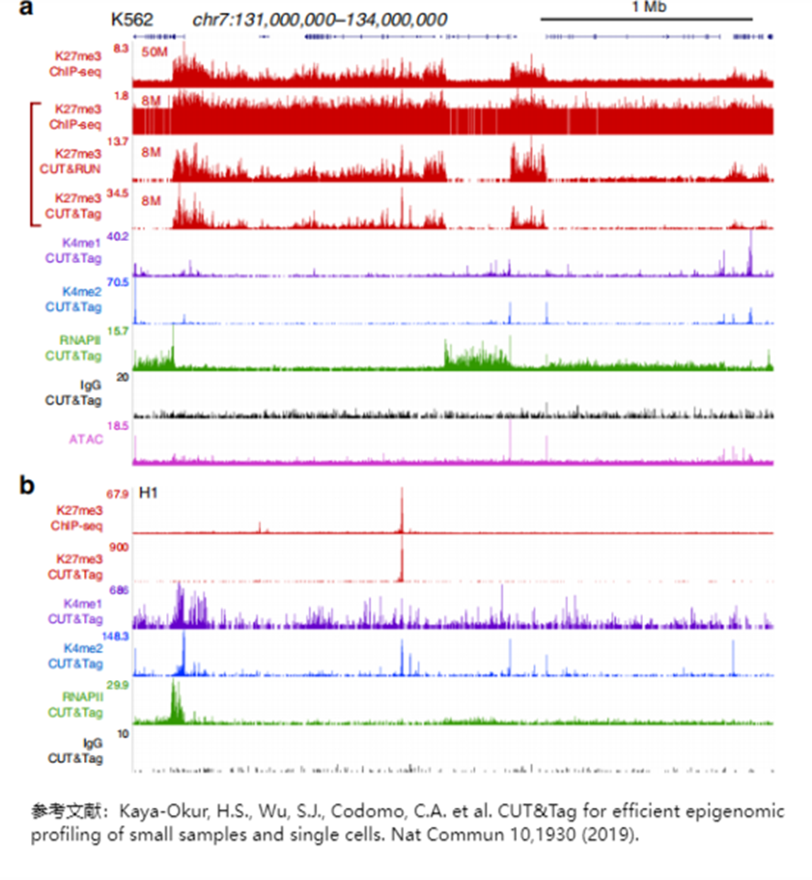 一文速览 CUT&Tag 技术！_cut-tag-CSDN博客