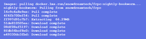 使用Docker部署frp内网穿透，容器运行frpee配置教程_frpc docker-CSDN博客