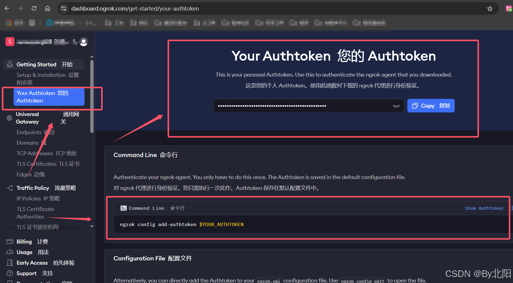Usage of ngrok requires a verified account and authtoken.Sign up for an account: https ...
